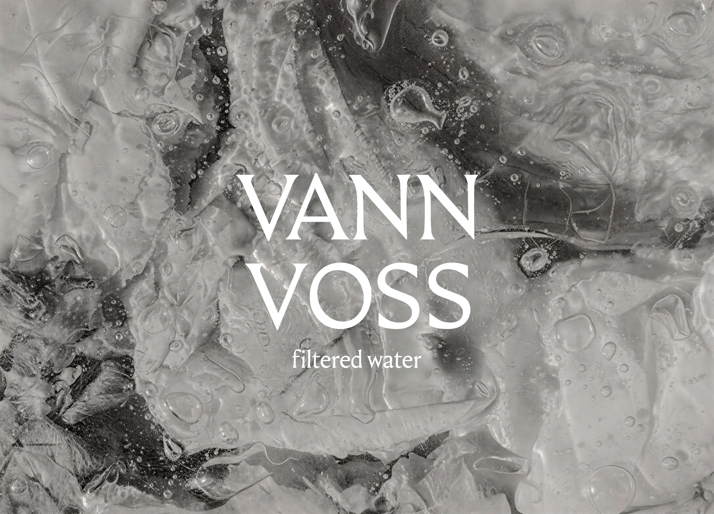 VANN VOSS | Premium Filtered Water Bottle – Vann Voss